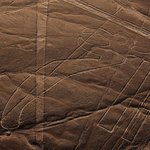 VUELO PRIVADO LÍNEAS DE NAZCA